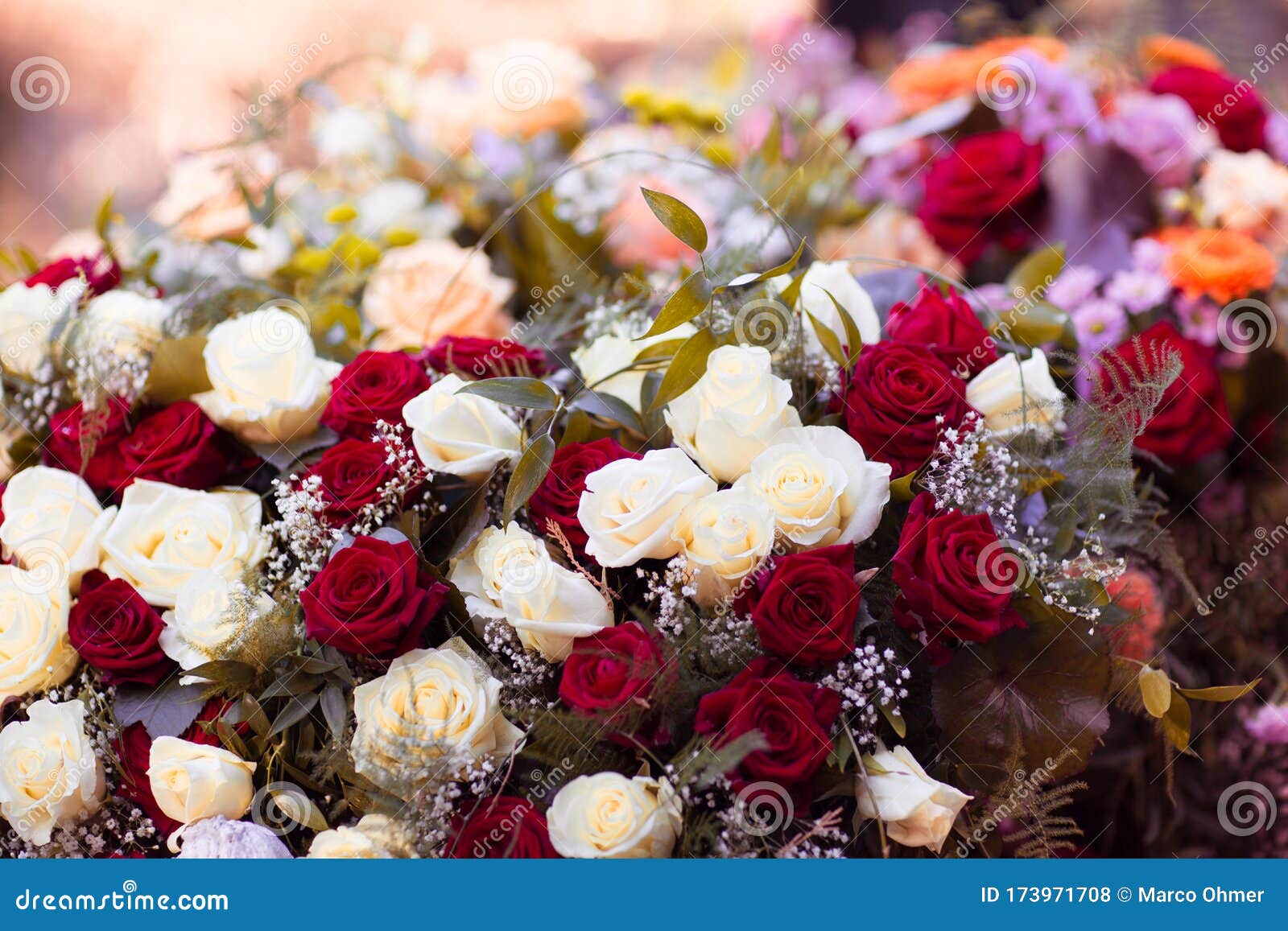 Red and White Mourning Flowers Stock Photo - Image of faded, dead ...
