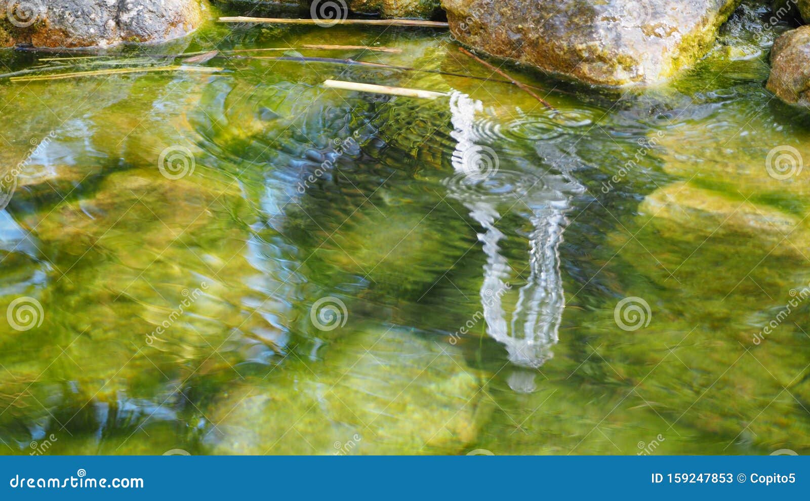Nice Reflection Effect of the Water Jet in the Mollerussa Fish Pond ...