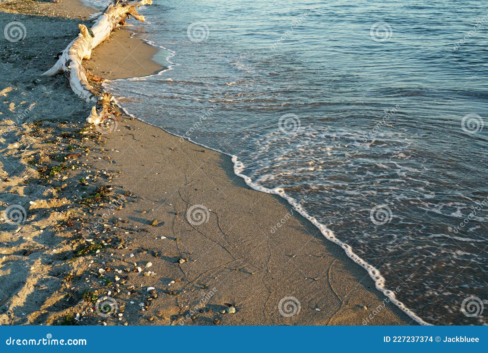 Golden Sand Beach Reflection Stock Photo - Image of nice, north: 227237374