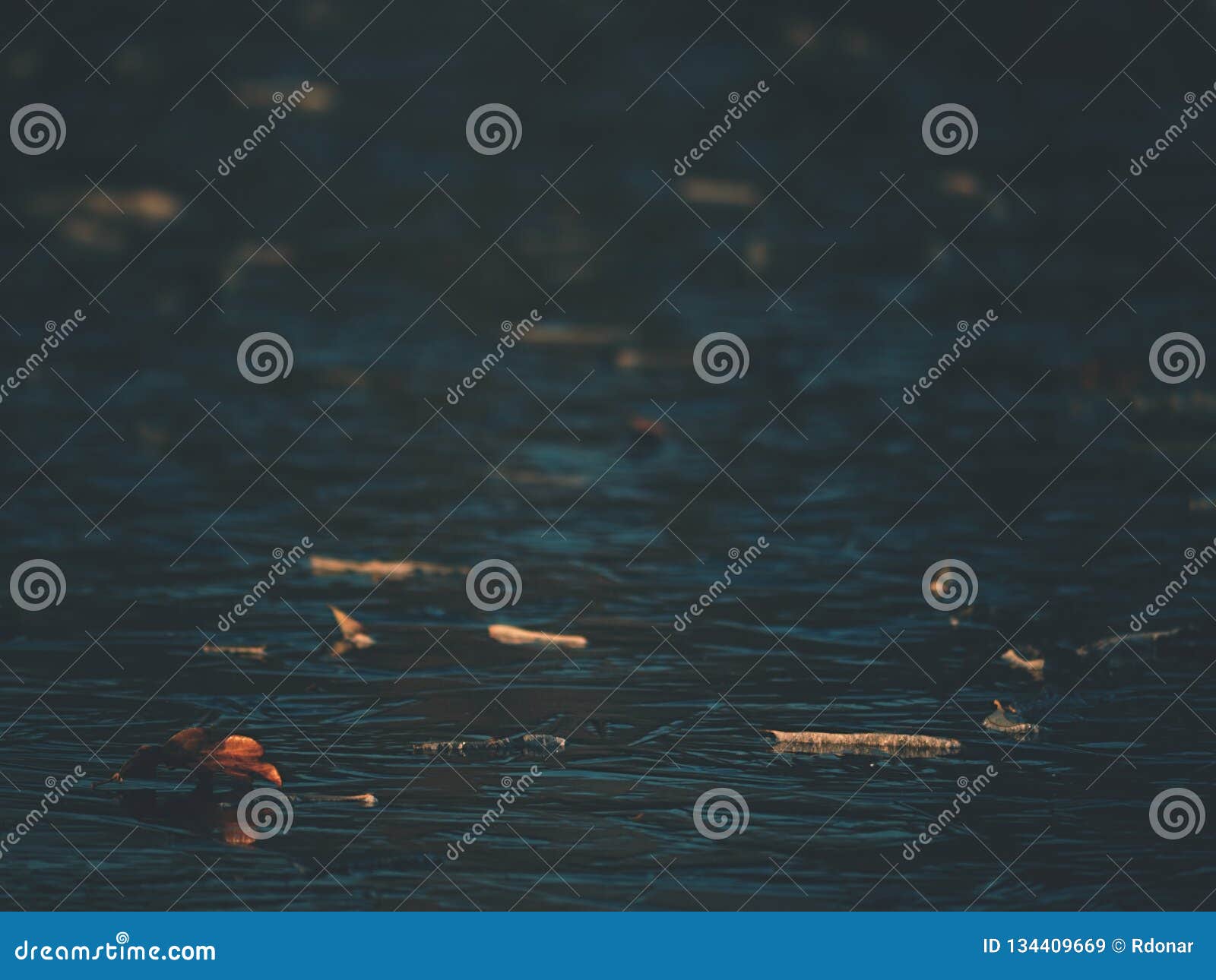 Nice Reflections and Flare in Mirroring Thin Ice Stock Image - Image of ...