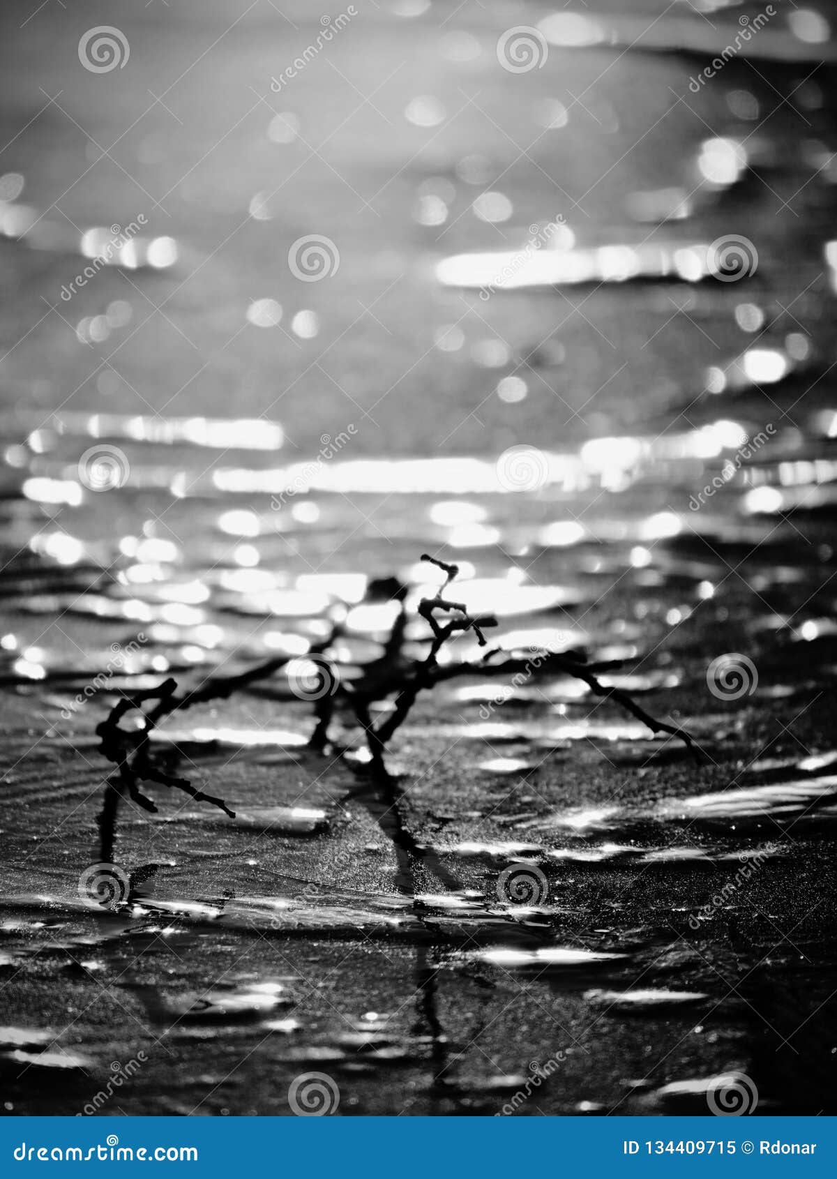 Nice Reflections and Flare in Mirroring Thin Ice Stock Image - Image of ...