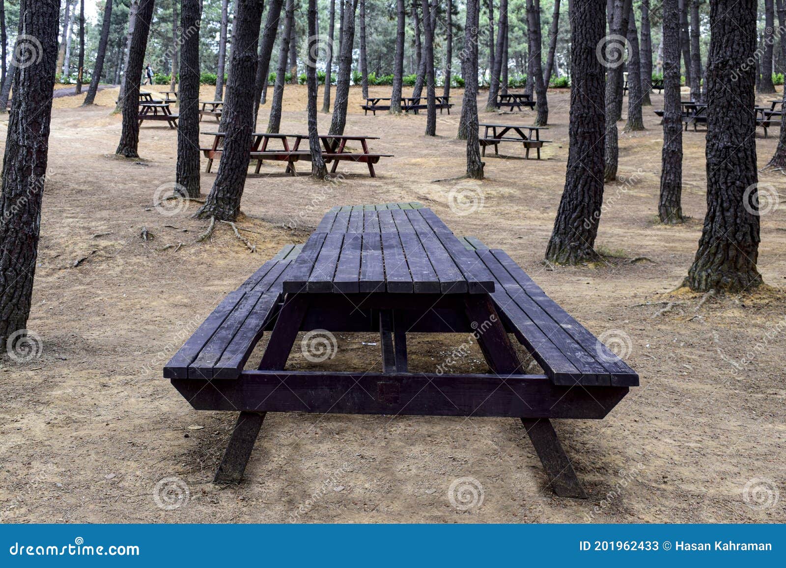 Nice Rest Areas in the Park Stock Image - Image of road, garden: 201962433