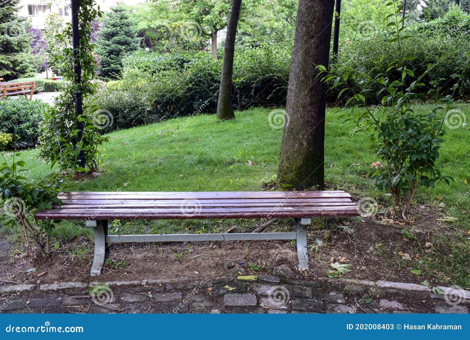 Nice Rest Areas in the Park Stock Image - Image of nice, tree: 202008403
