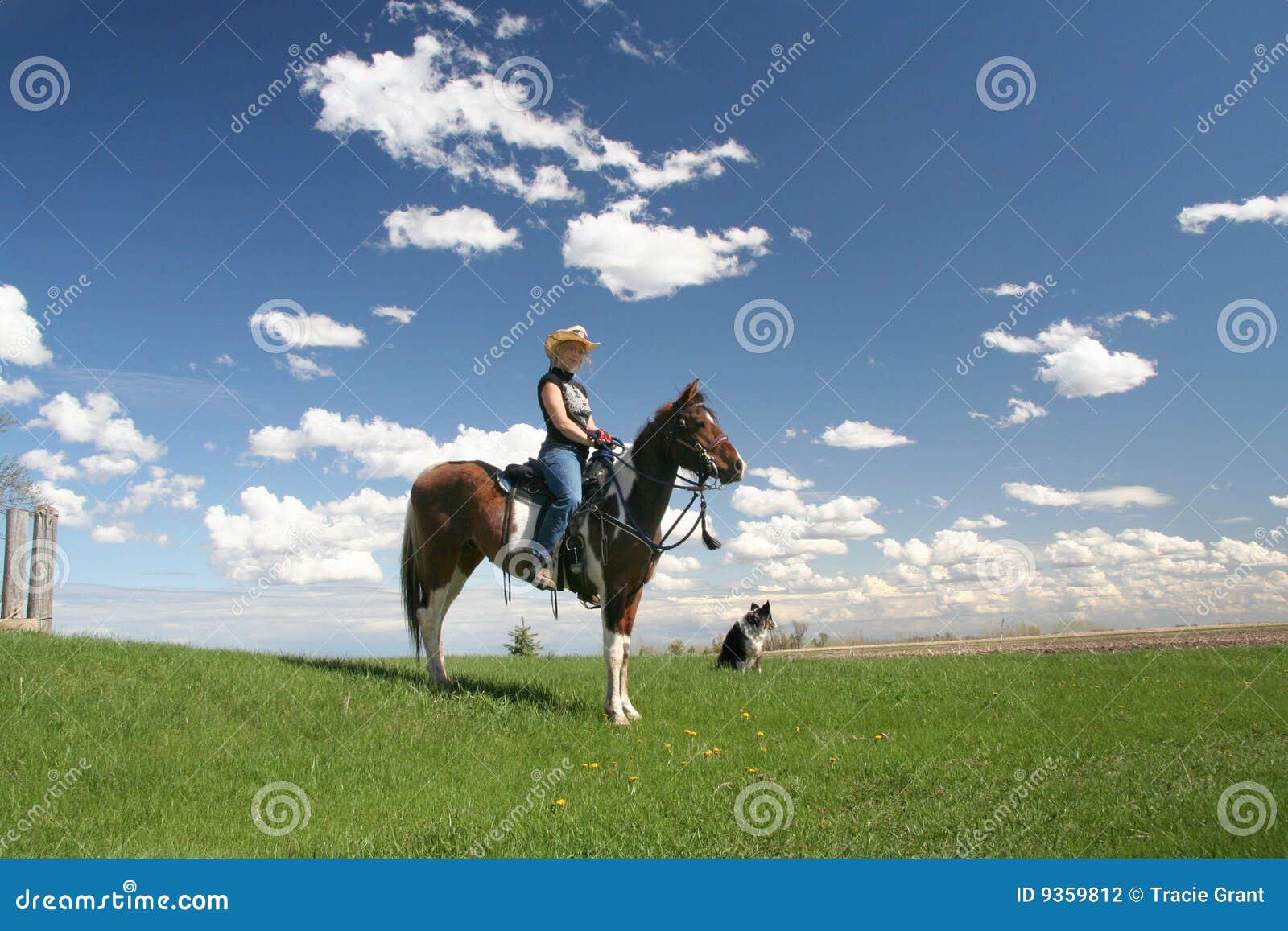 Nice Ride stock photo. Image of prairie, riding, horseback - 9359812