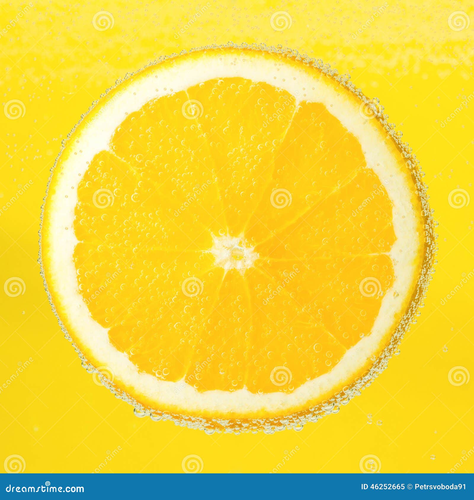Nice Ripe and Juicy Slice of an Orange Covered Stock Image - Image of ...