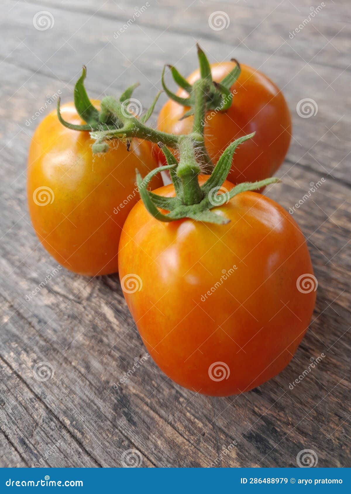 Nice ripe organic tomato stock image. Image of ripe - 286488979
