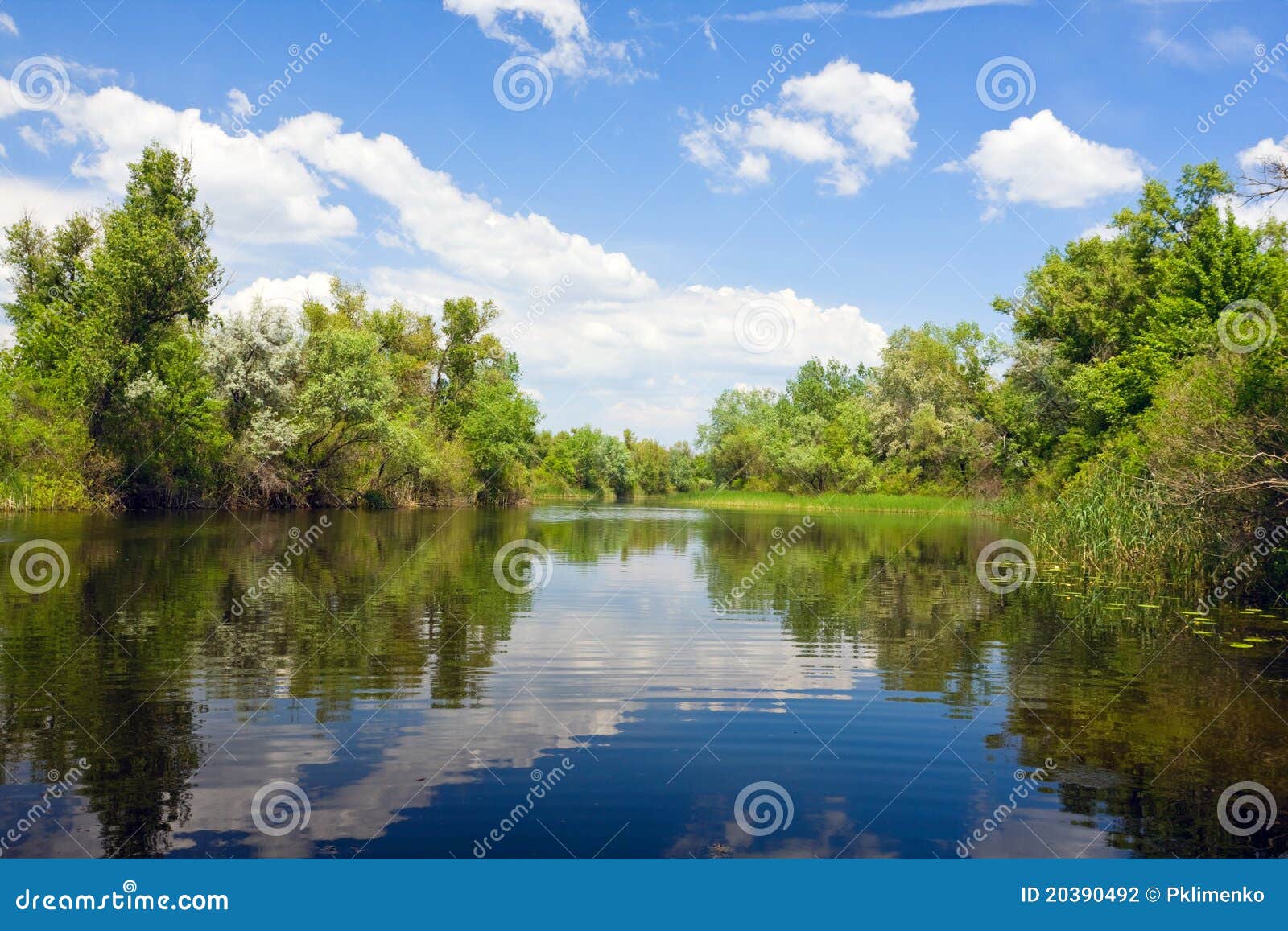 Nice river stock photo. Image of green, environment, bright - 20390492