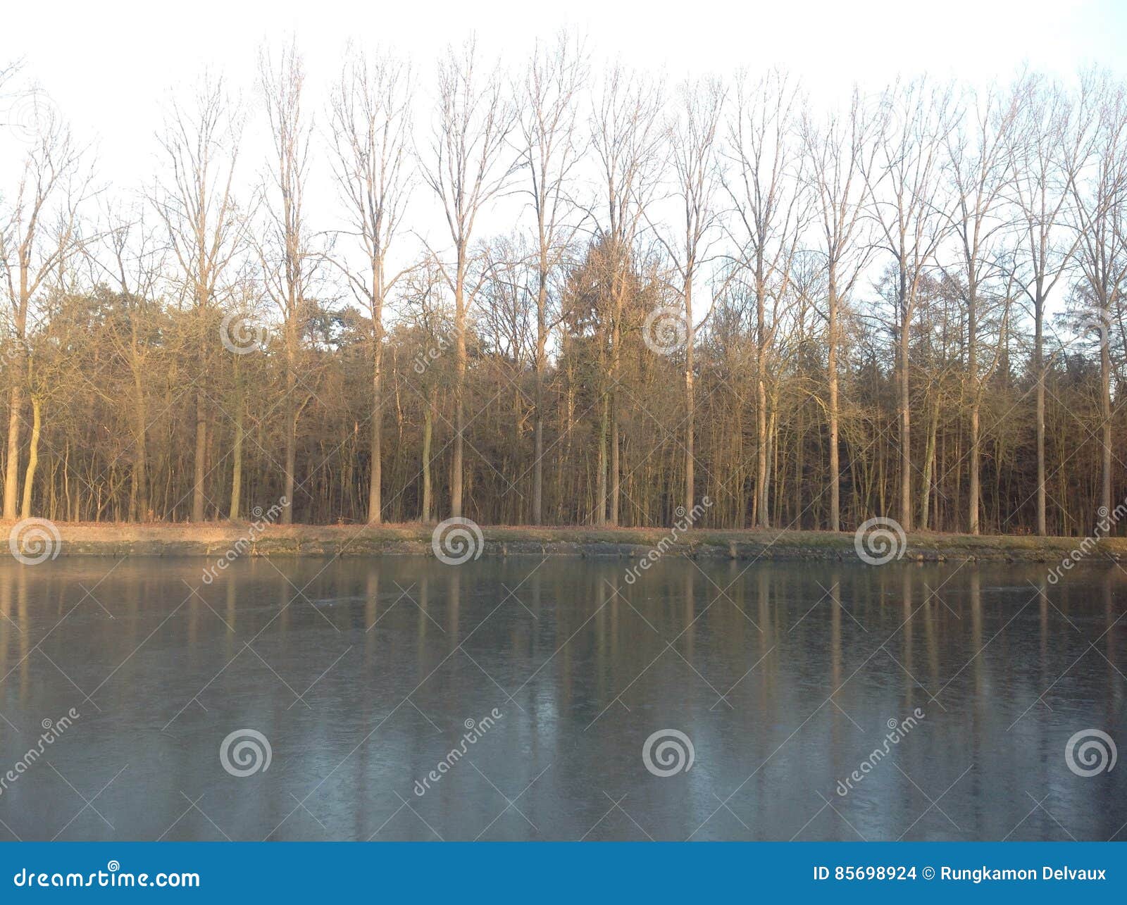 Nice river stock photo. Image of beautiful, view, chanel - 85698924