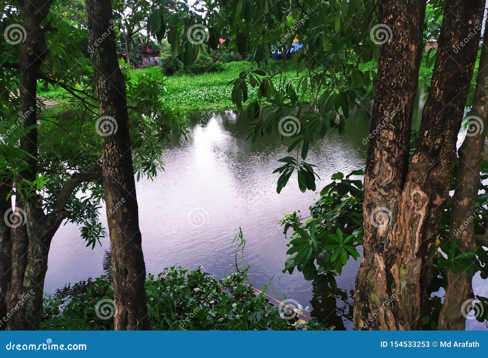 Nice River in Black Shadow Tree Stock Image - Image of river, tree ...