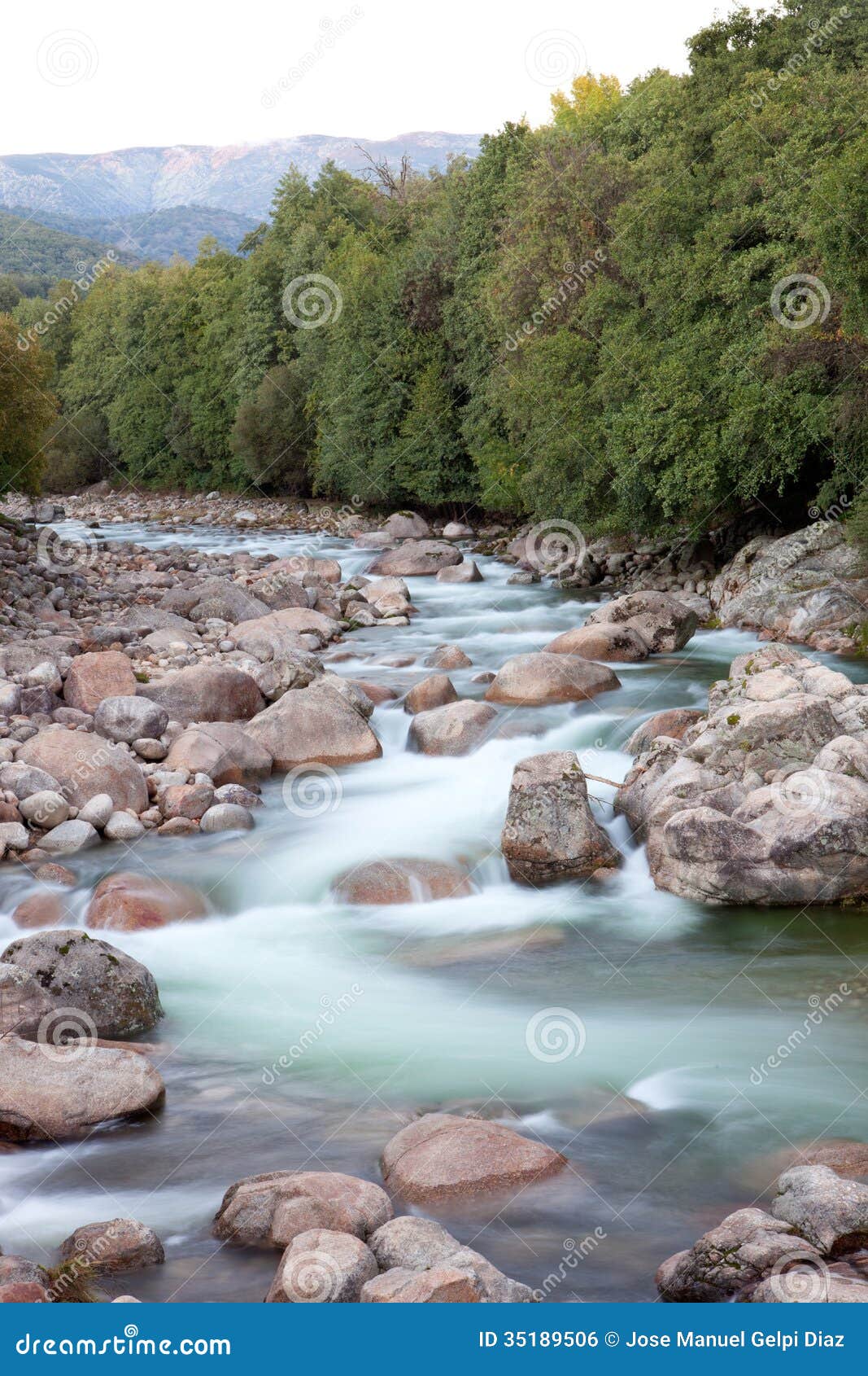 Nice River with Clear Water Flowing Stock Photo - Image of cool ...