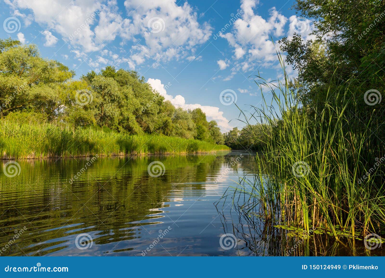 Nice river in sunny day stock image. Image of scenery - 150124949
