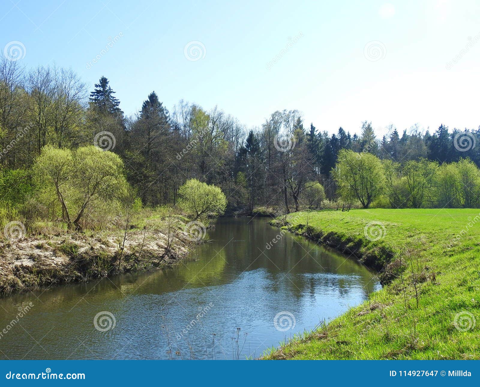 Beautiful Trees and River in Spring, Lithuania Stock Image - Image of ...