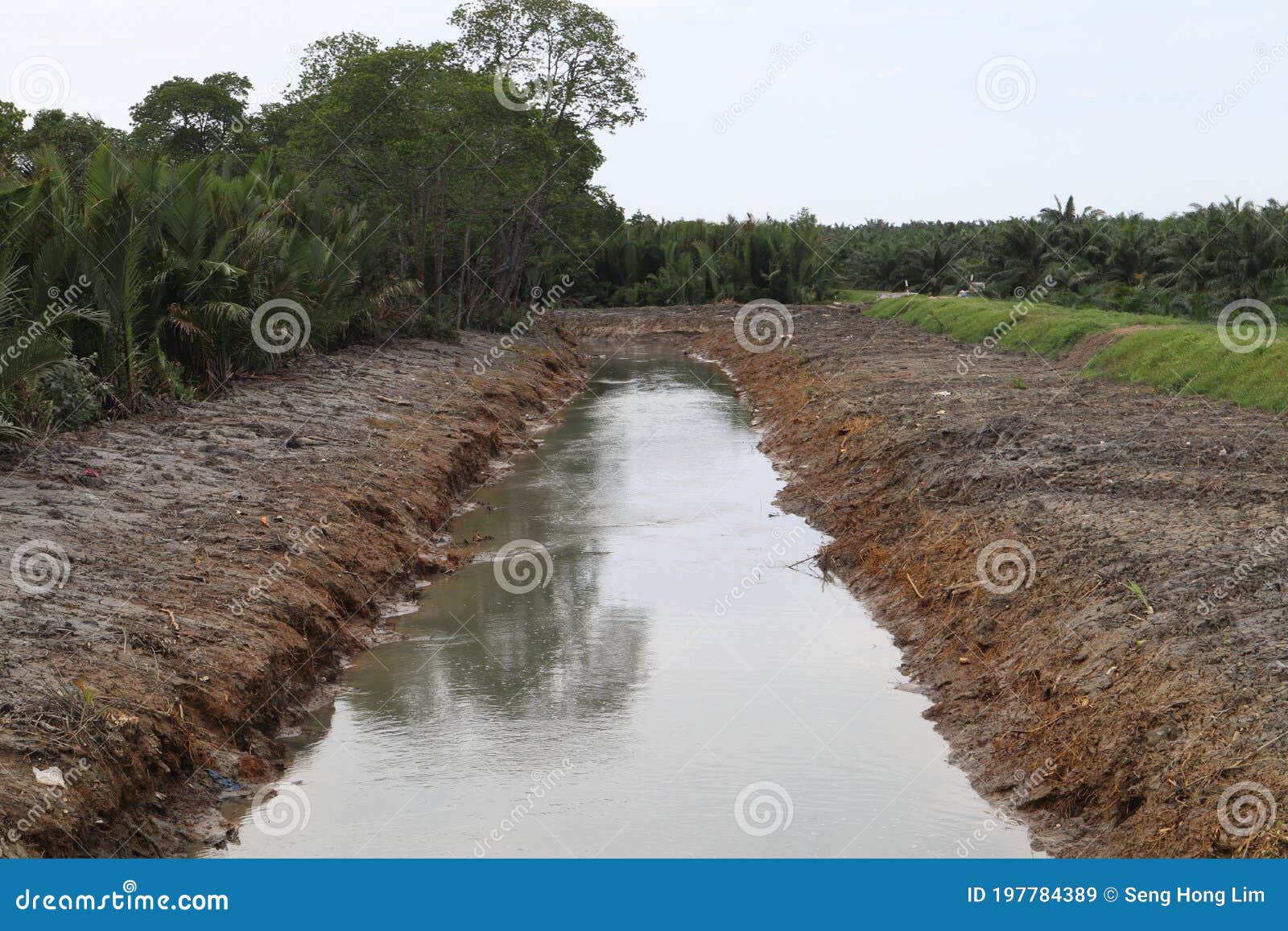 The nice river view stock image. Image of nice, fresh - 197784389