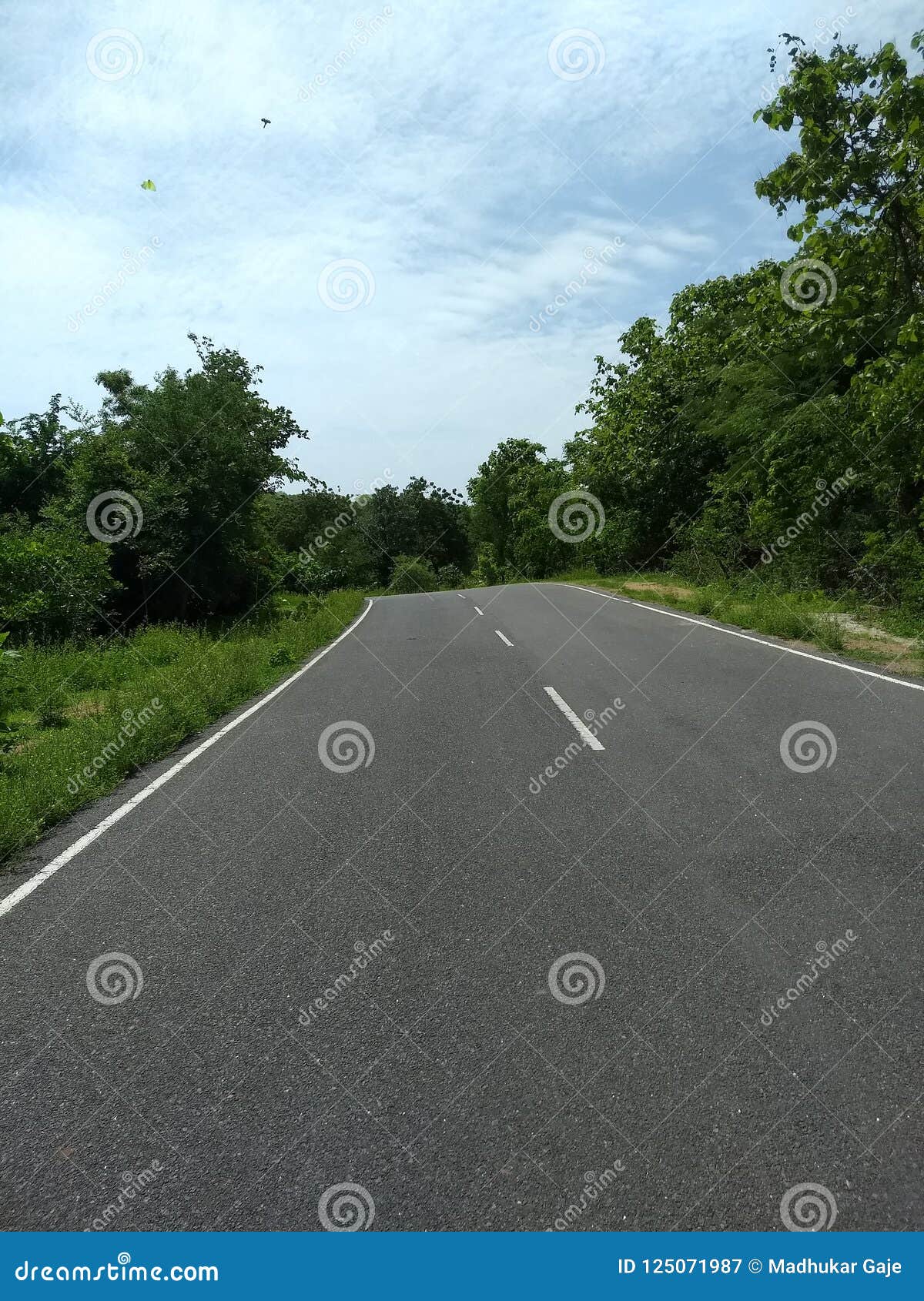 Road way stock image. Image of nice, cool, trees, road - 125071987