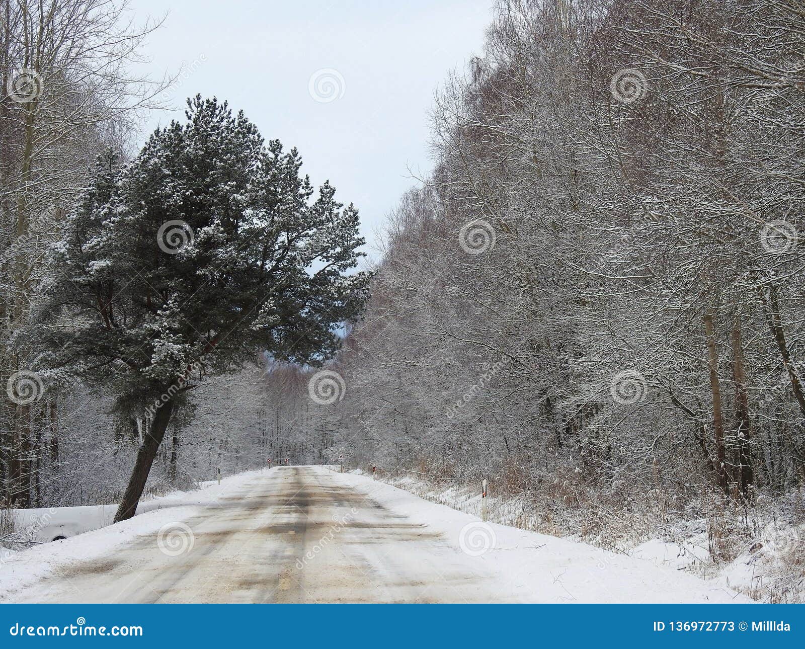 Nice Road and Snowy Trees, Lithuania Stock Image - Image of tree ...