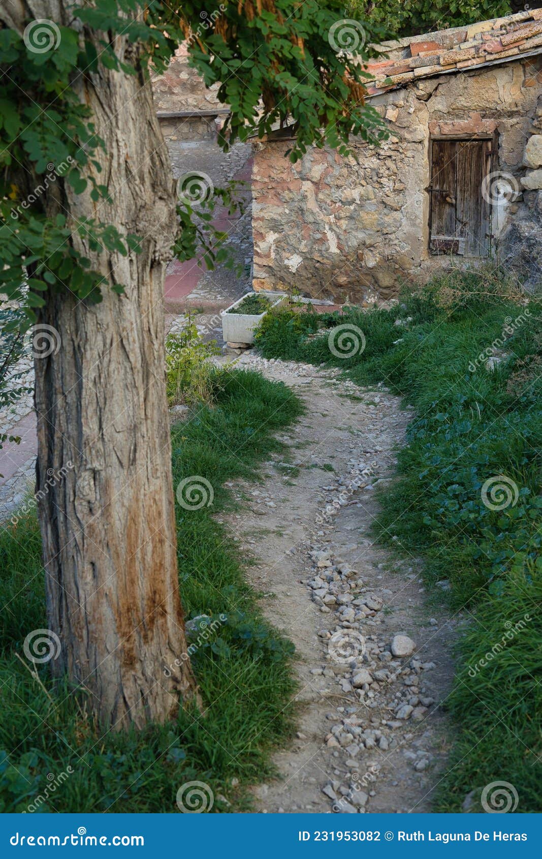 Nice Rustic House in Landscape Stock Photo - Image of natural, colorful ...