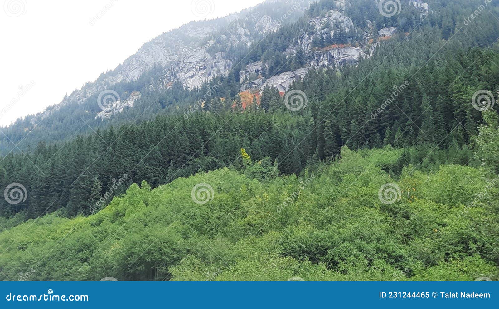 Nice Scene Beautiful Greenery on the Mountains. Stock Image - Image of ...
