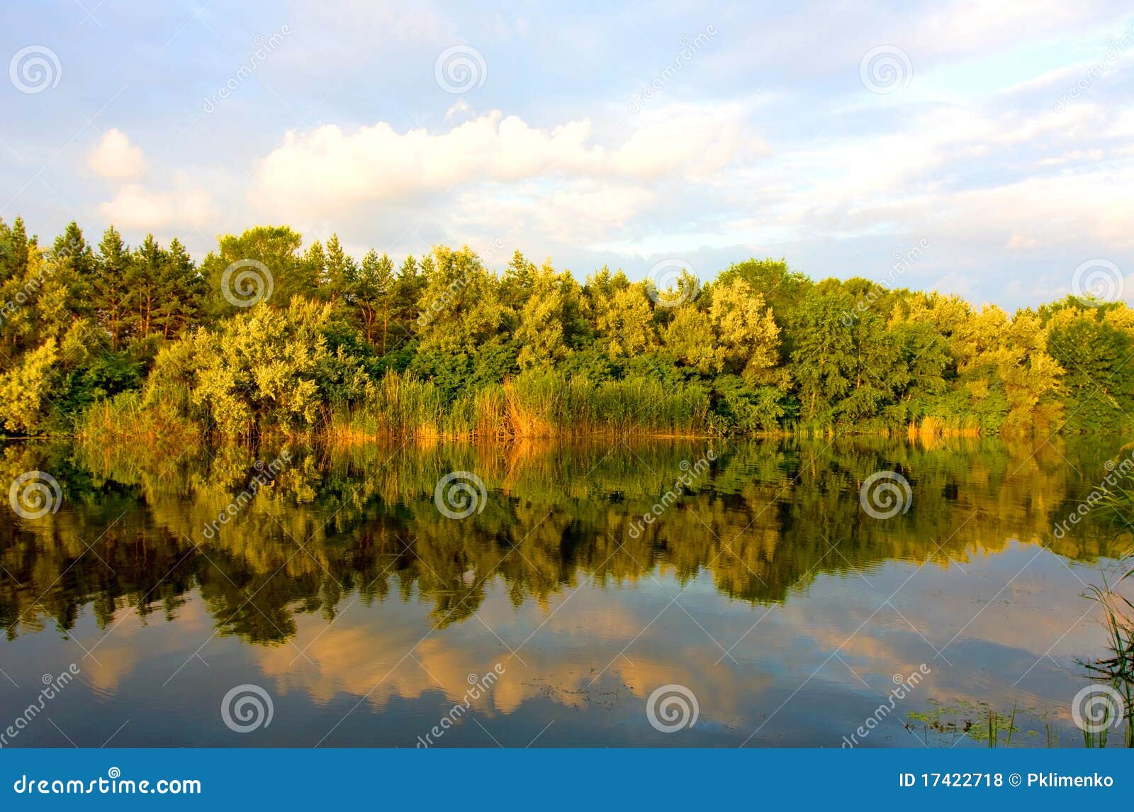 Nice scene on river stock photo. Image of outdoor, leaf - 17422718