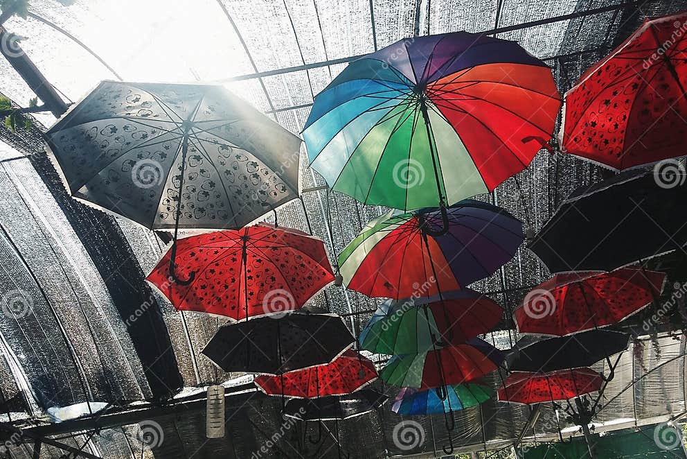 Nice scenery stock image. Image of nice, light, beautiful - 83419131