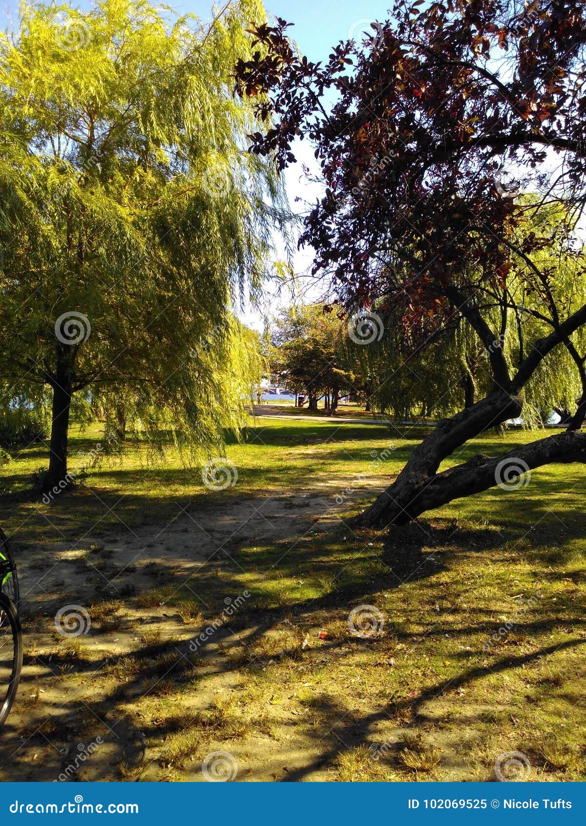 Nice scenery stock image. Image of beautiful, scenery - 102069525