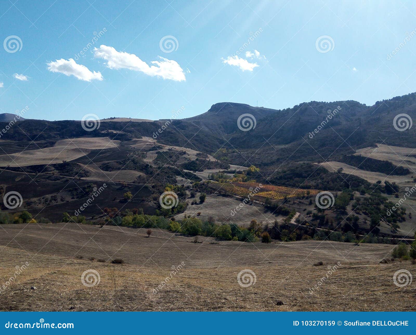 Nature stock image. Image of escarpment, grassland, ecoregion - 103270159