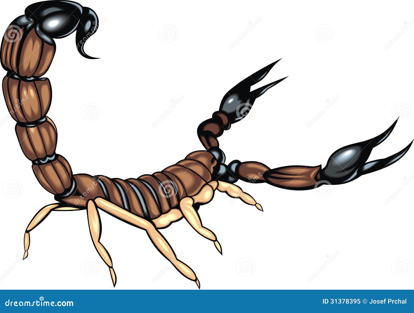 Scorpion Shadow Stock Illustrations – 279 Scorpion Shadow Stock ...