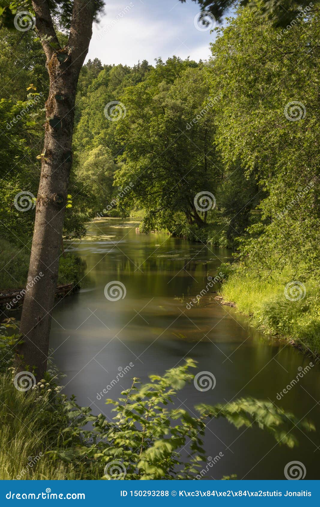 Nice Silky Water Surface River on Sunny Summer Day Stock Photo - Image ...
