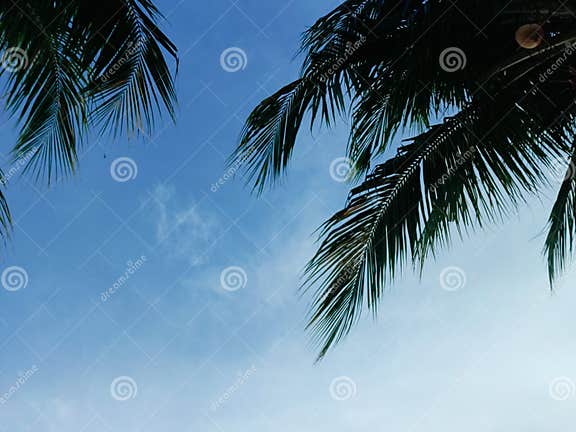 Nice Sky in the Afternoon and Relax on the Beach Stock Image - Image of ...