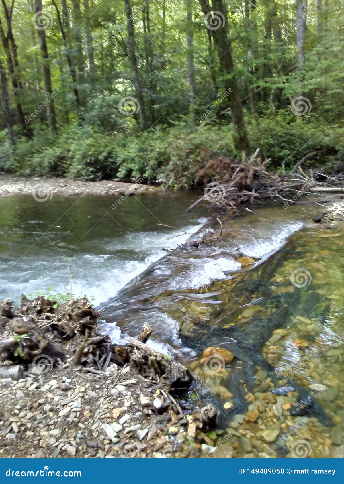 Nice Small rapids stock photo. Image of waterfall, water - 149489058