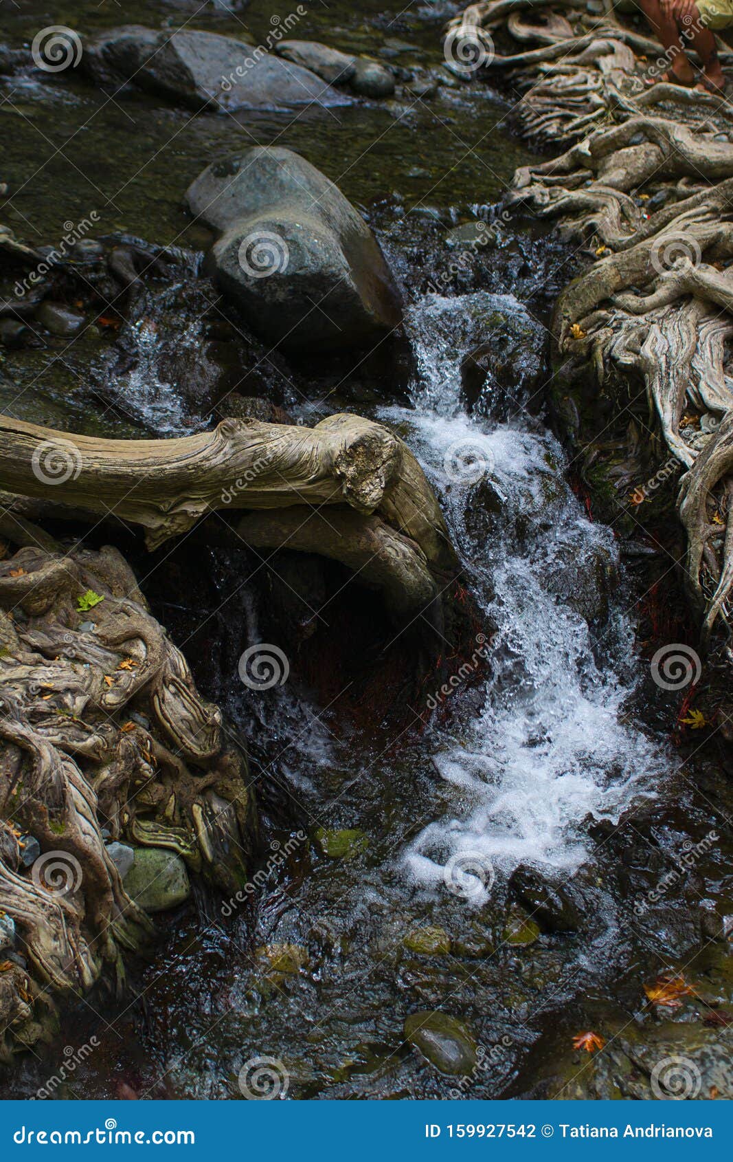 Nice Small Waterfall Surrounded with Tree Roots and Stones. Cyprus ...