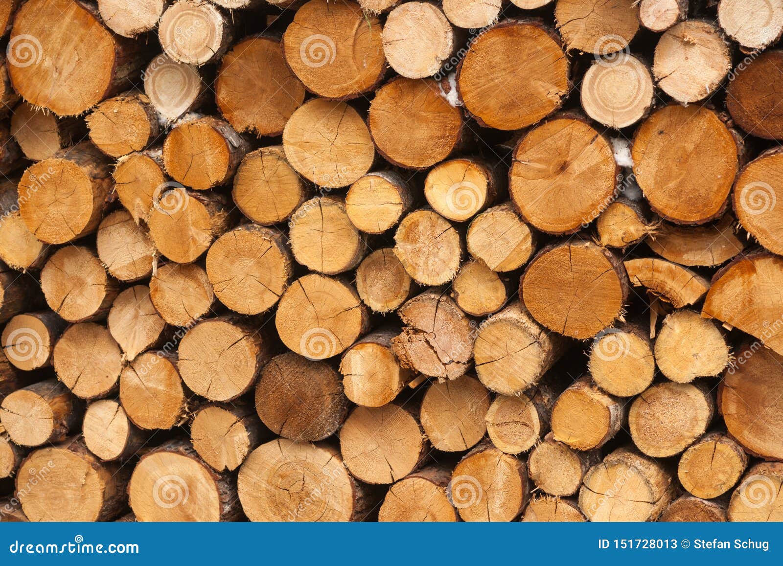 Round Firewood Pieces - Stacked Stock Image - Image of together, nice ...