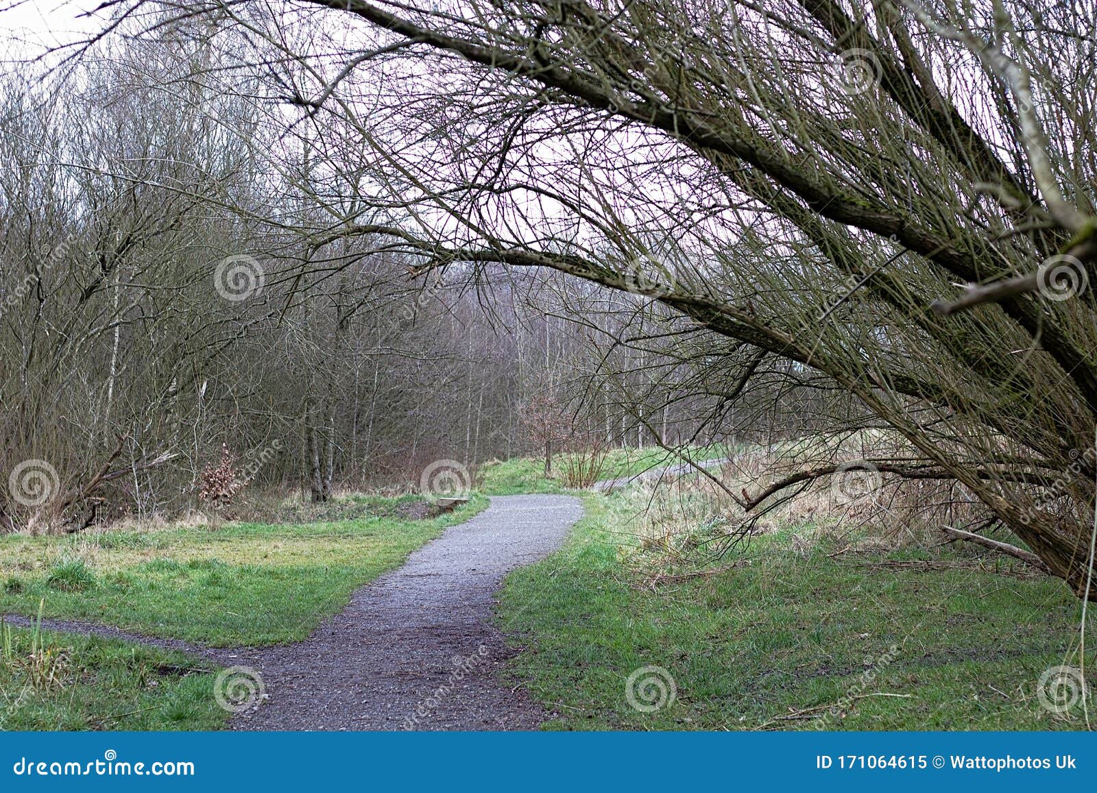 Nature Wallpaper Nice Stone Path Walk Way in a Park Stock Image - Image ...