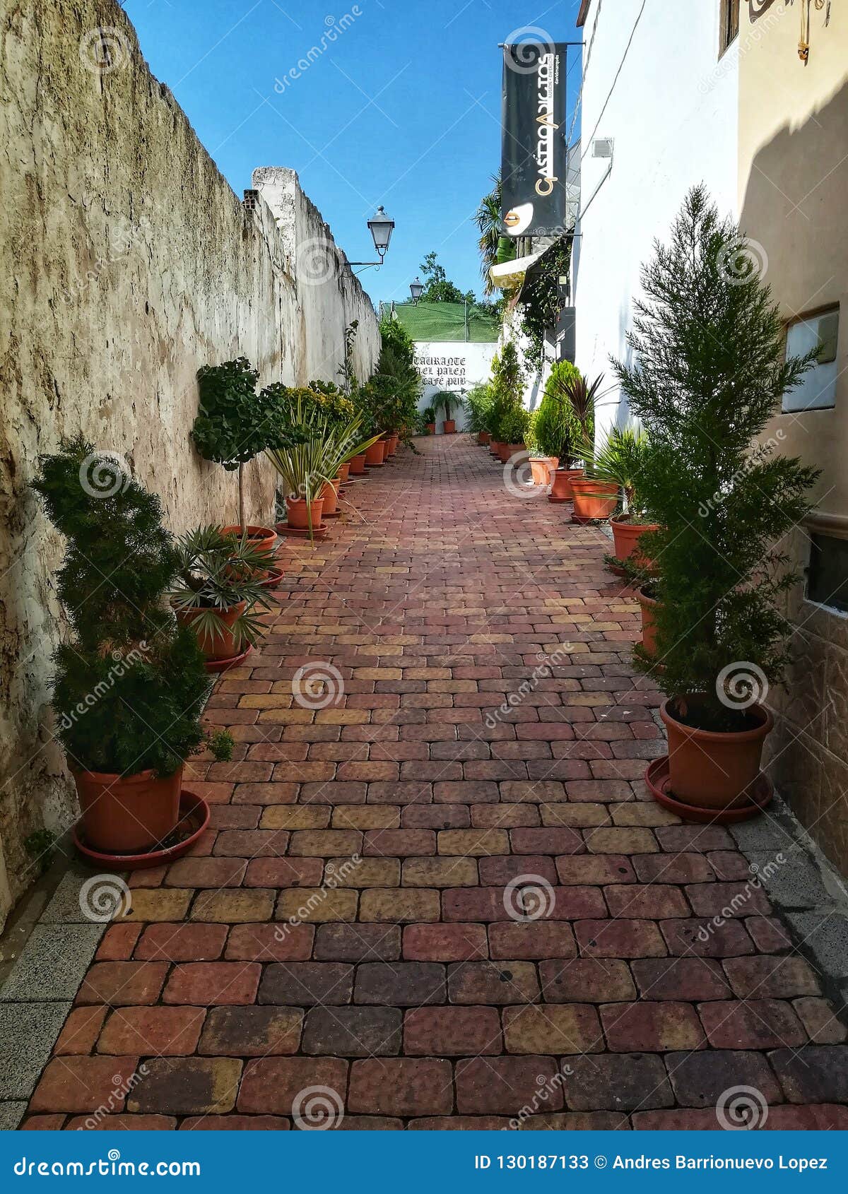 Colored street editorial stock photo. Image of pavement - 130187133