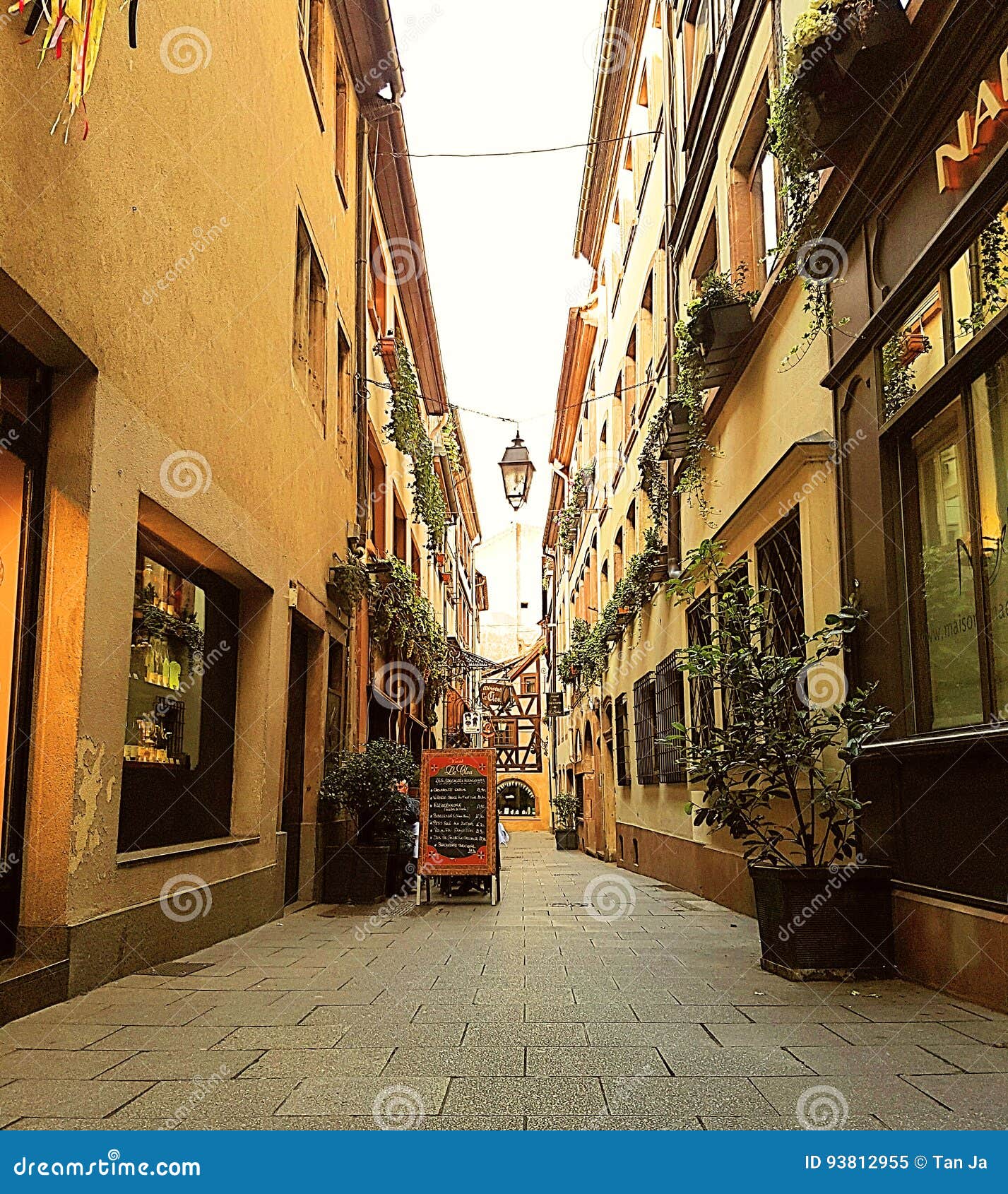 Nice Street editorial image. Image of strasbourg, plants - 93812955