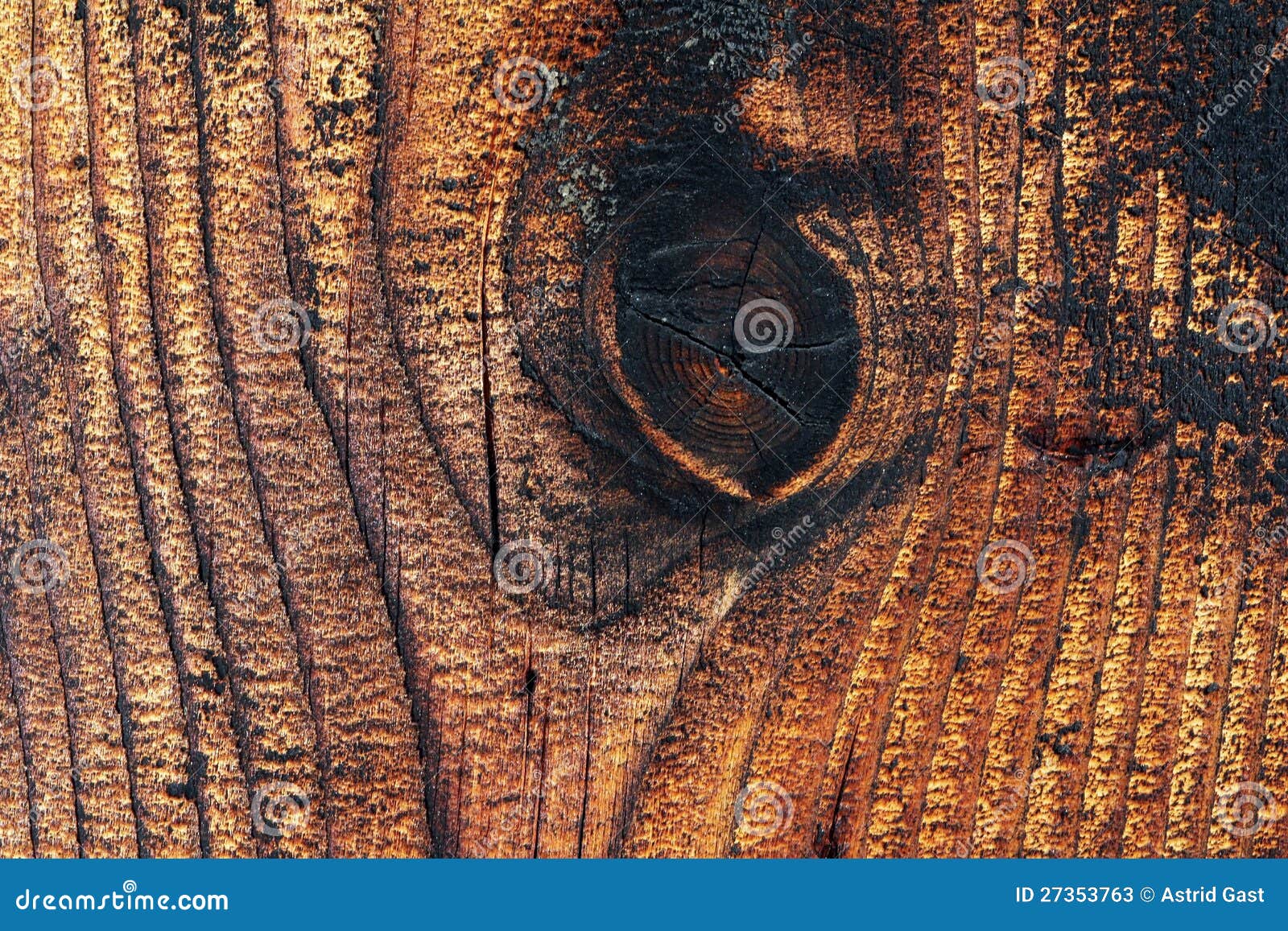 18,979 Nice Structure Stock Photos - Free & Royalty-Free Stock Photos ...