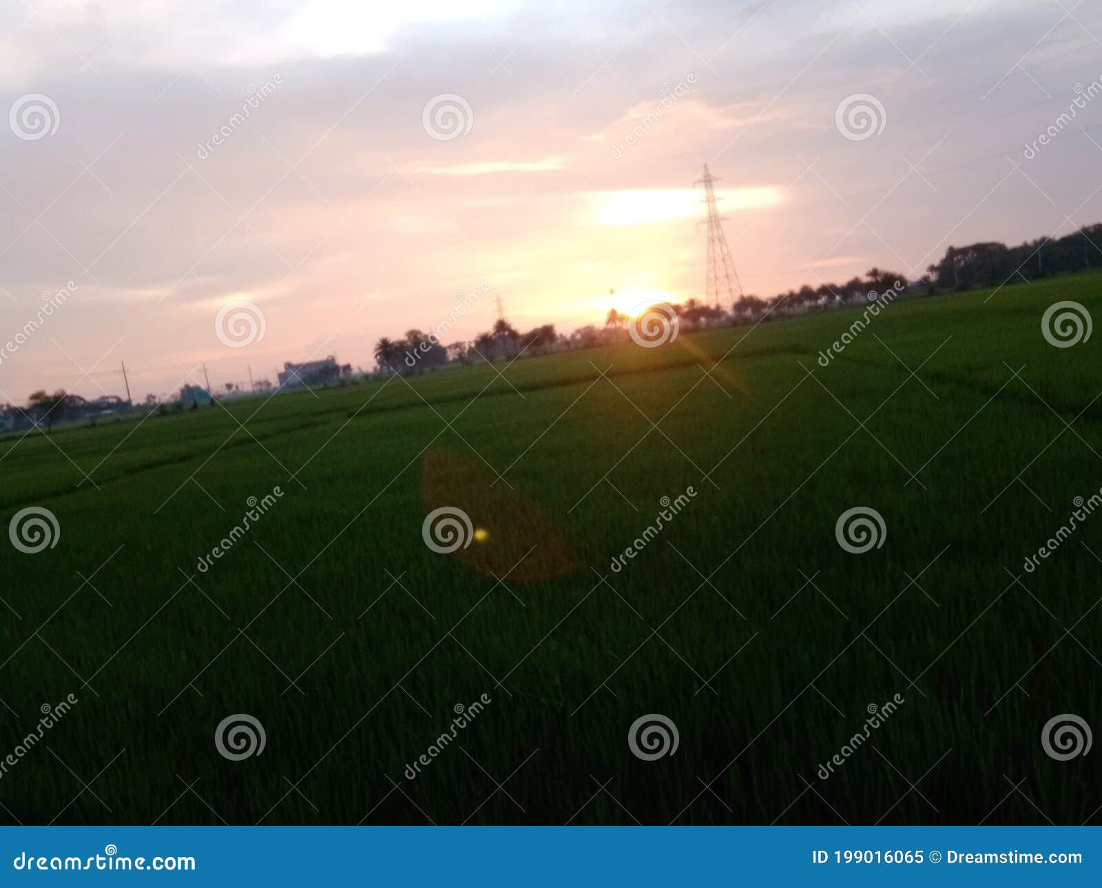 The nice sun stock image. Image of dusk, lawn, evening - 199016065