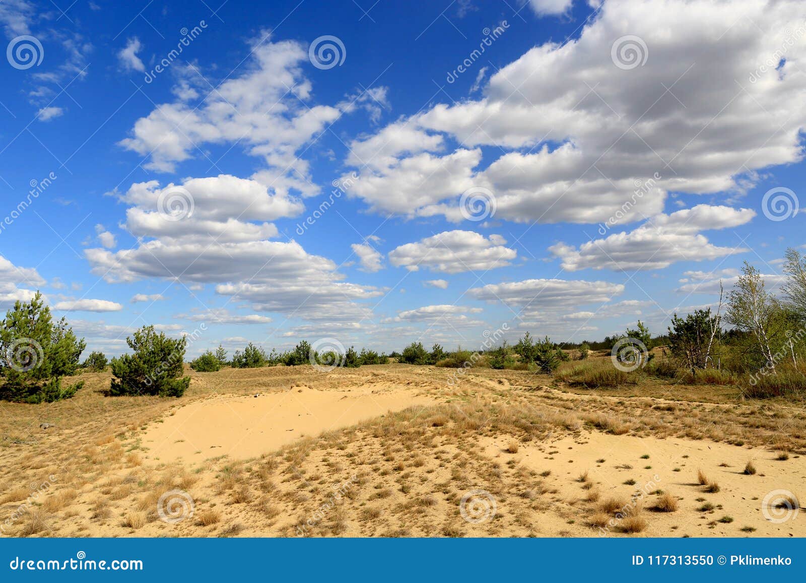 Nice sunny day in desert stock photo. Image of landscape - 117313550