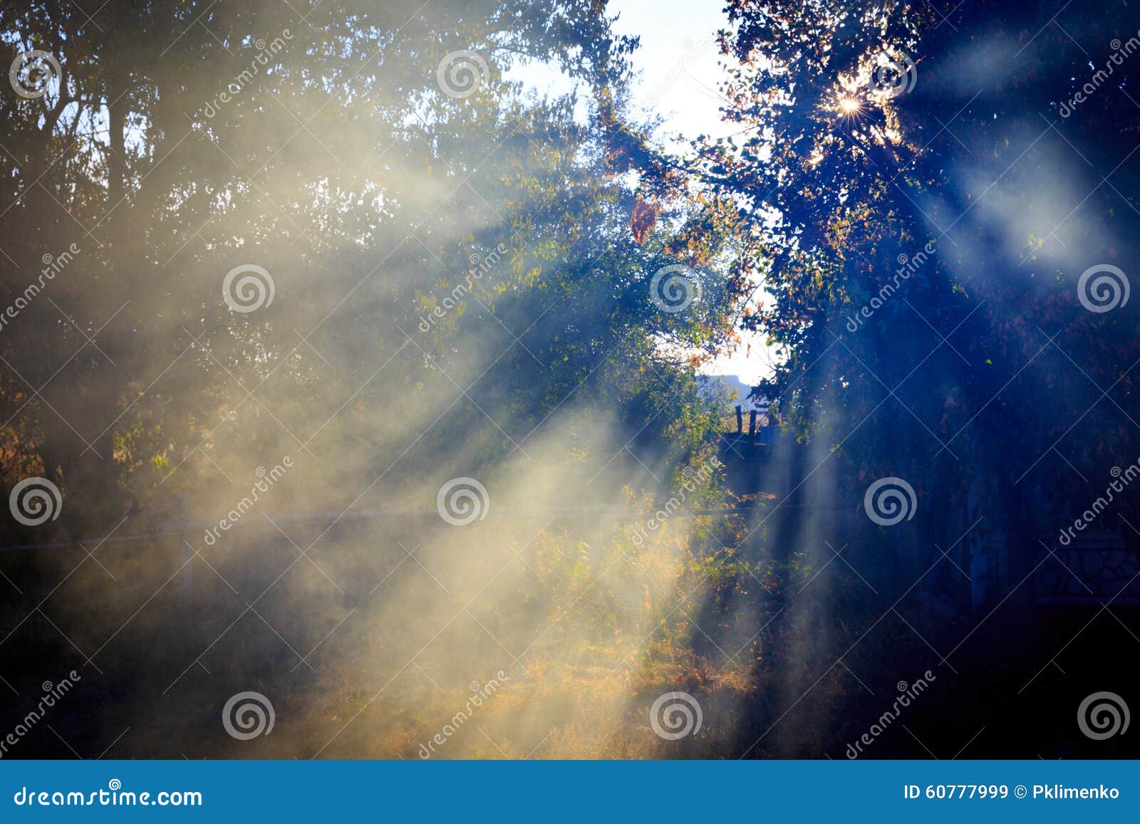 Nice sunshine an rays stock image. Image of beautiful - 60777999