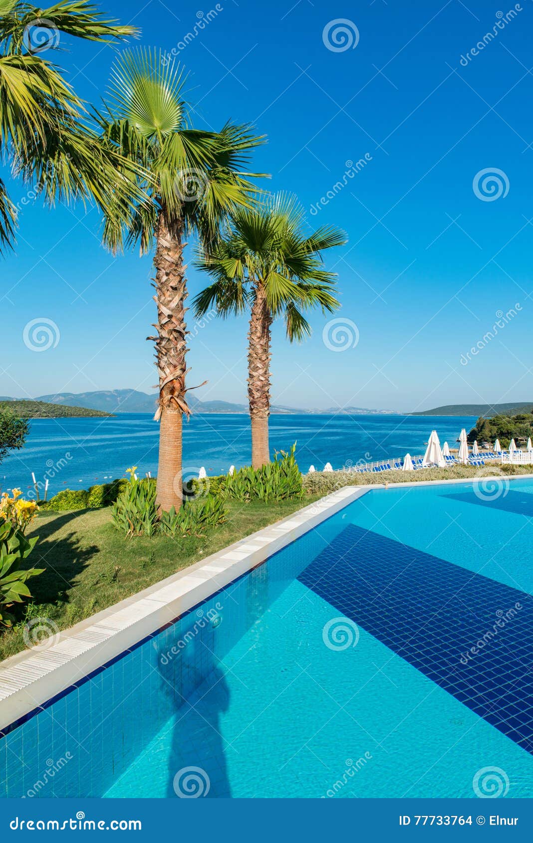 The Nice Swimming Pool Outdoors on Bright Summer Day Stock Photo ...