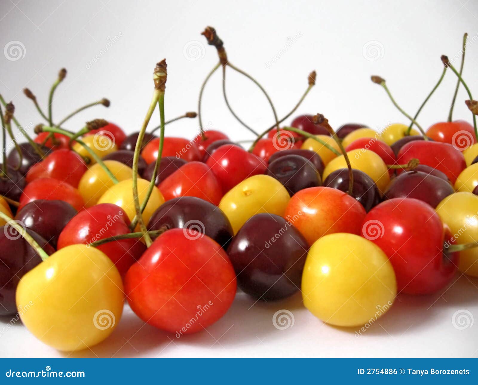 Nice taste stock photo. Image of green, produce, seasons - 2754886