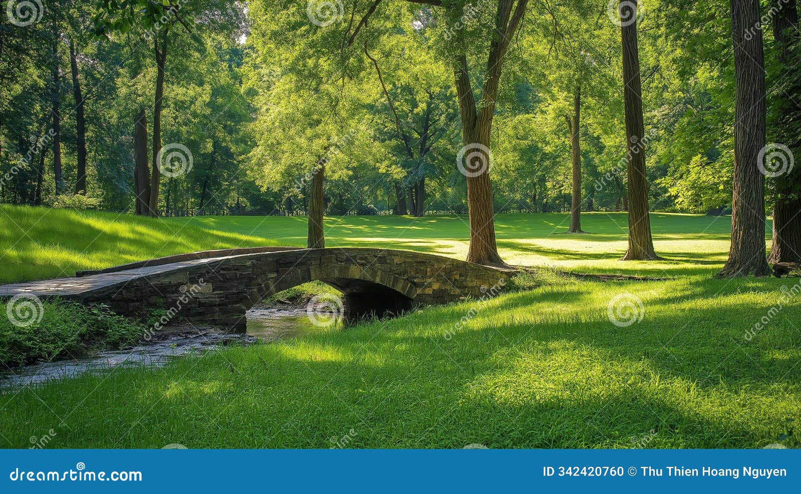 Nice Theme Landscape Picture Stock Photo - Image of travel, leaf: 342420760