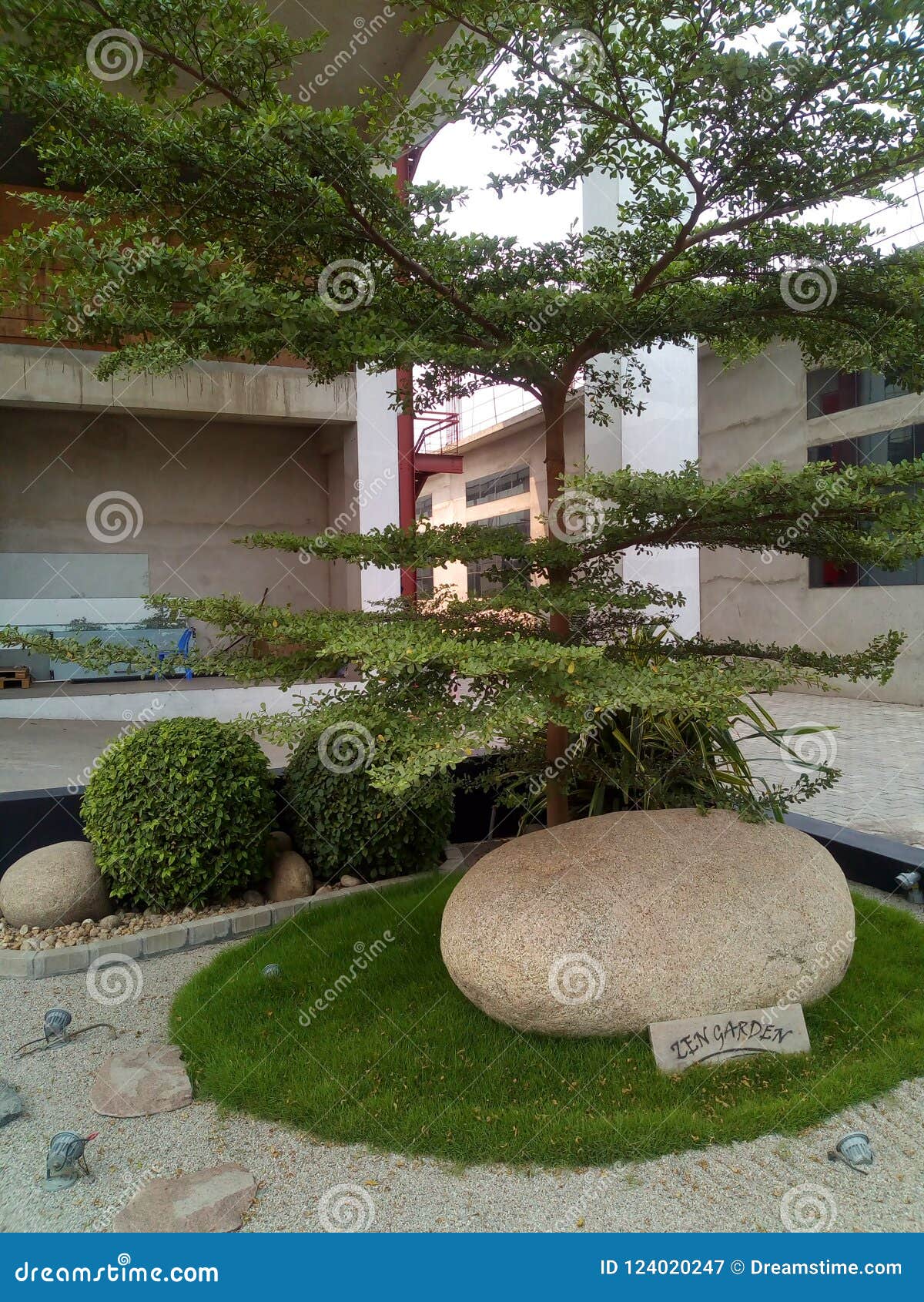 Nice tree editorial photography. Image of beautiful - 124020247