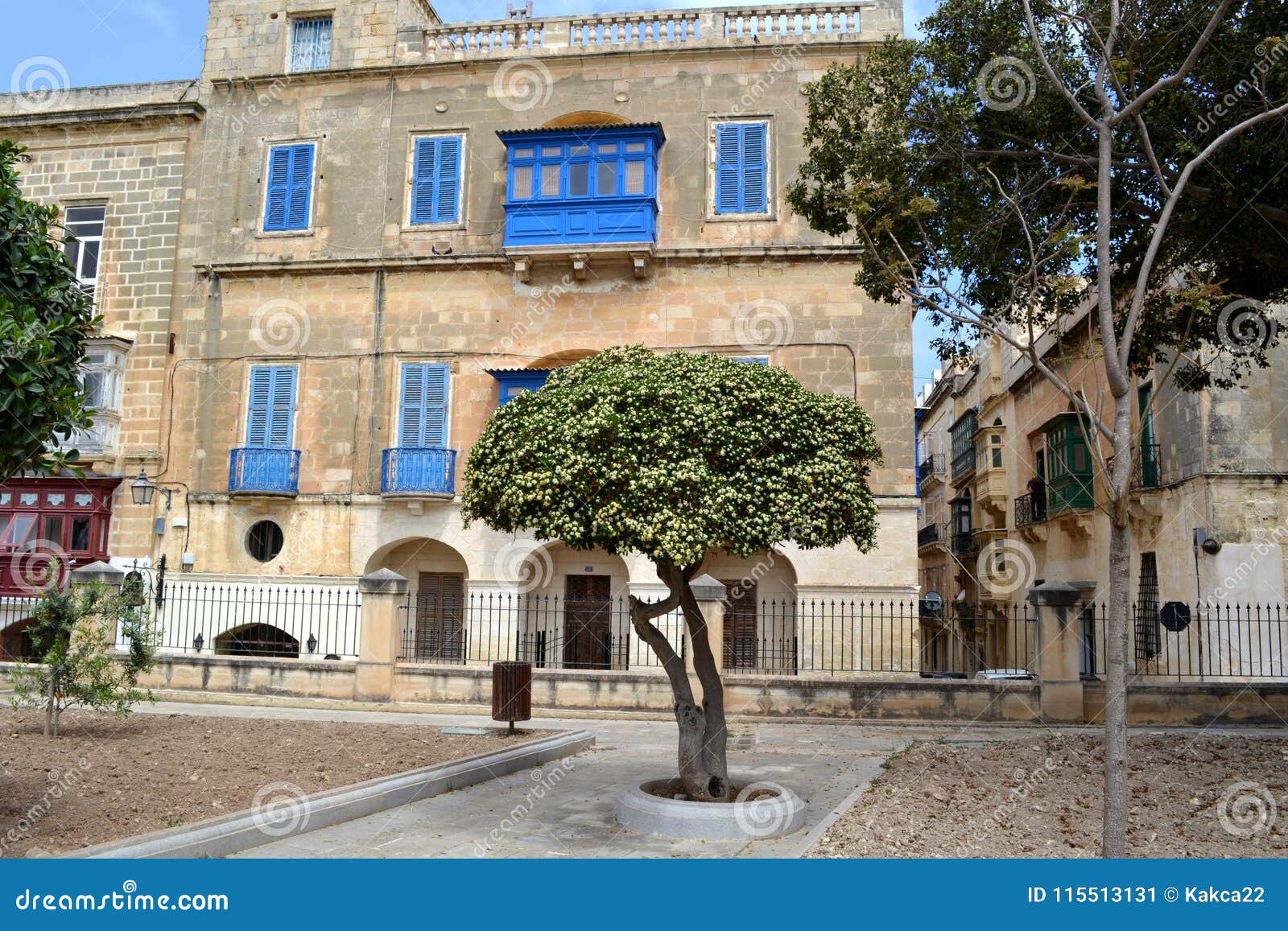 Nice Tree on the Square in Valletta Malta Stock Image - Image of nature ...