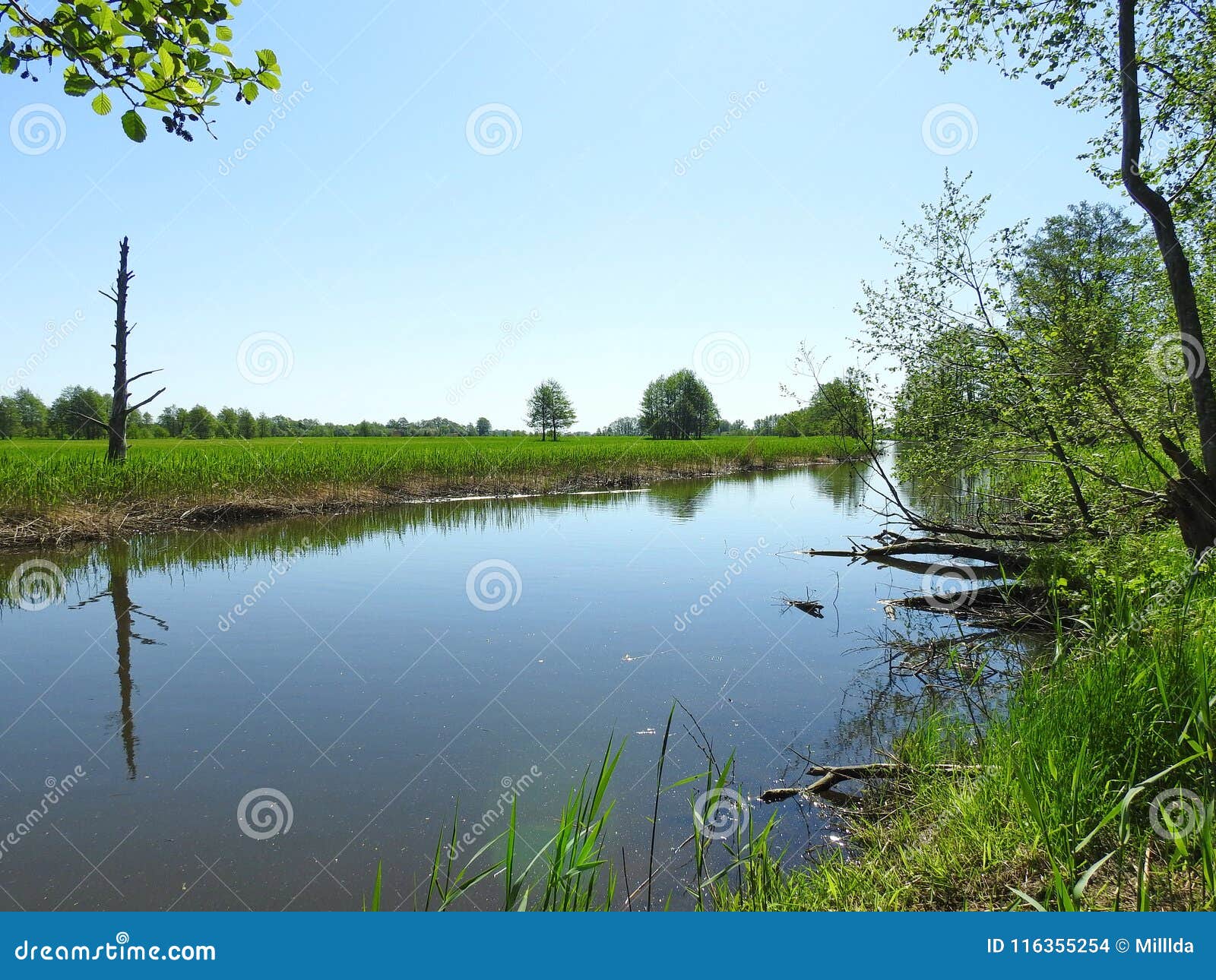Beautiful Trees, Chanel and Sunny Day, Lithuania Stock Photo - Image of ...