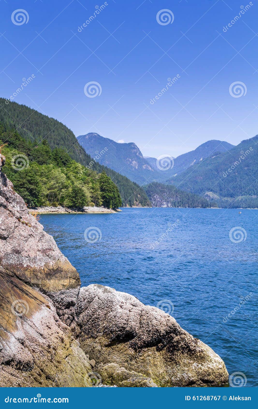 Nice Veiw of Mountains in the Bay Stock Image - Image of tree, summer ...