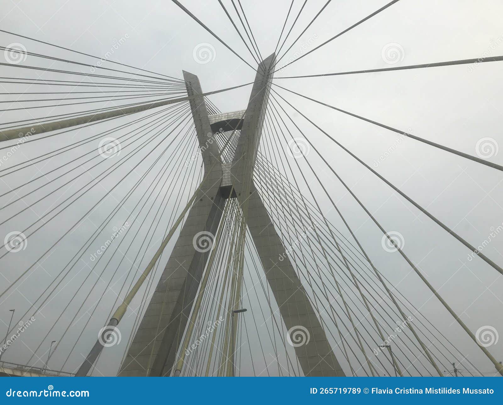 Cacle Stock Photos - Free & Royalty-Free Stock Photos from Dreamstime