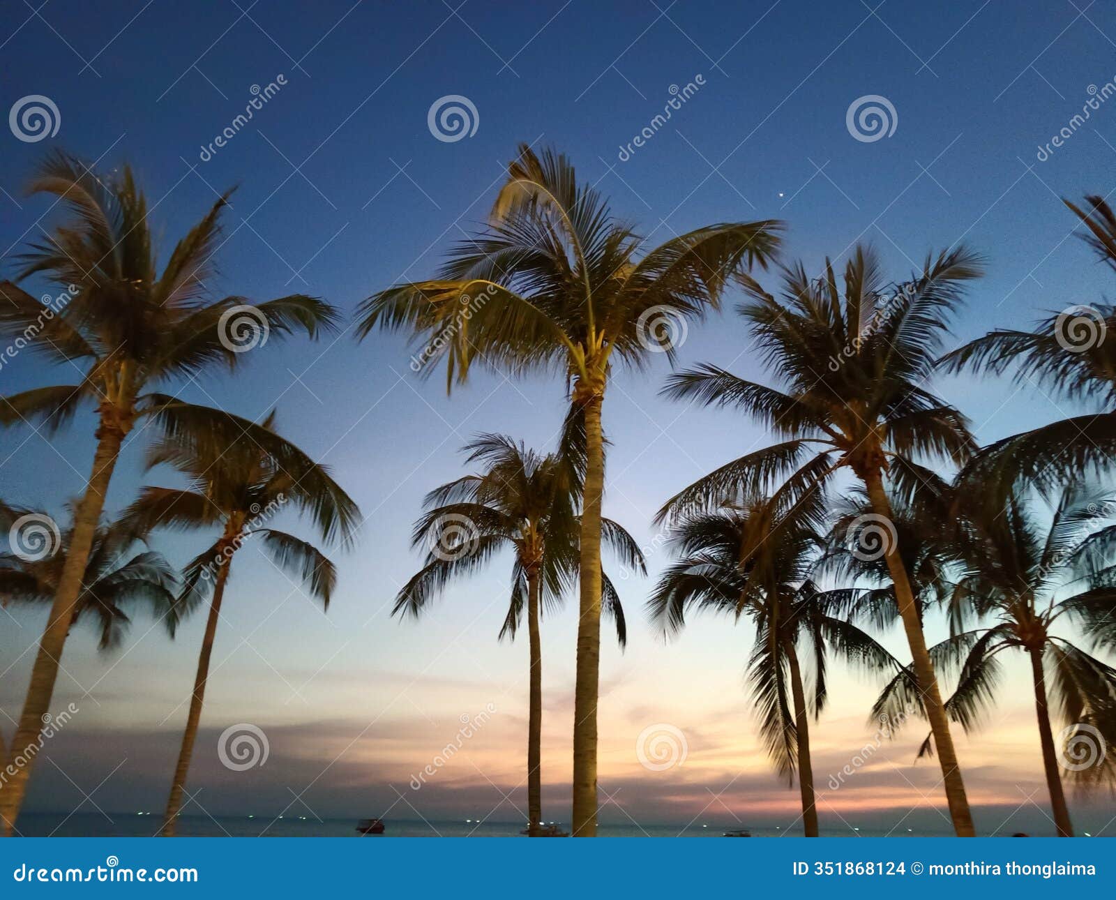 Nice View with Coconut Tree and Sun Sky Stock Photo - Image of horizon ...