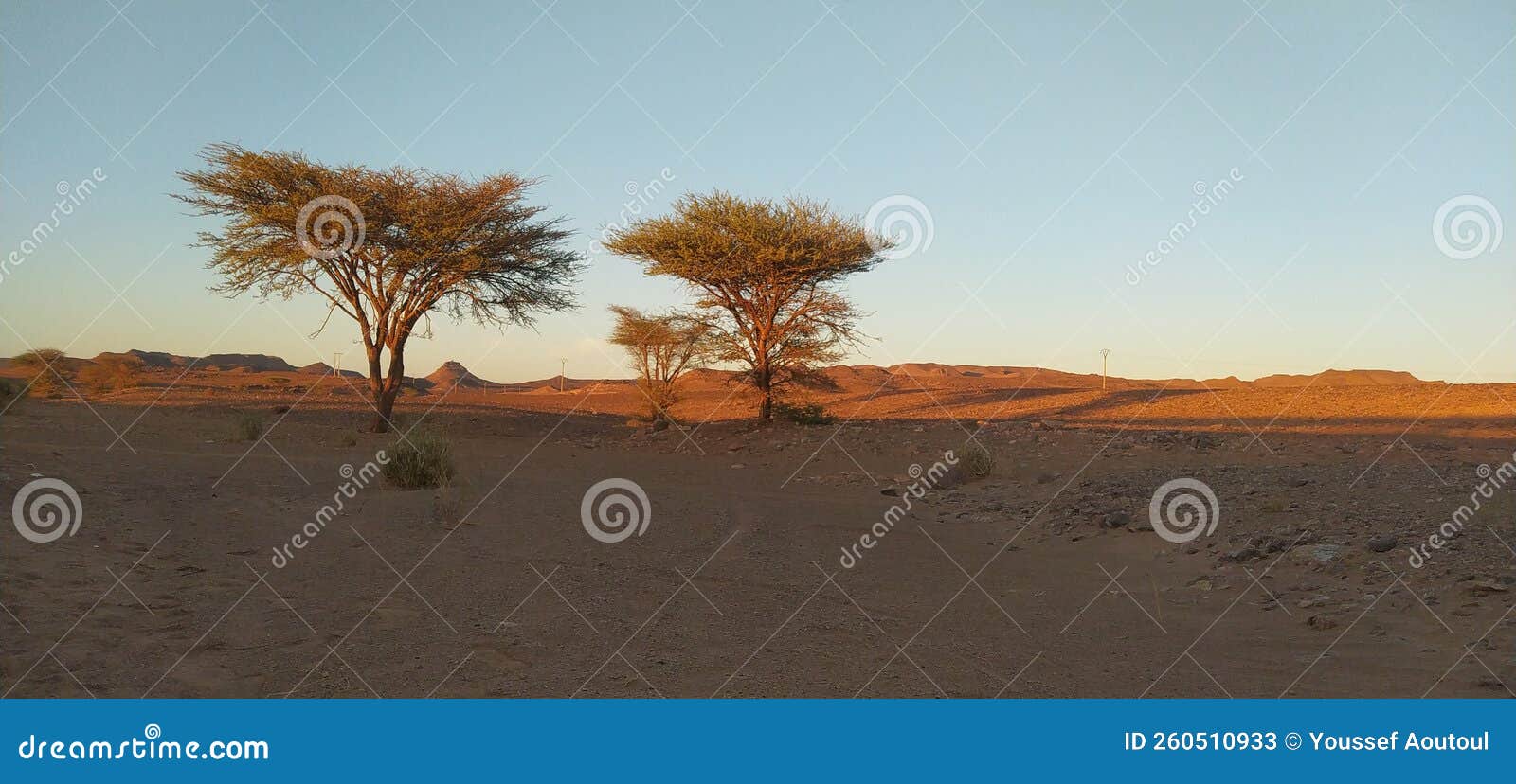 Nice View in Desert with Sunset Stock Image - Image of field, plain ...