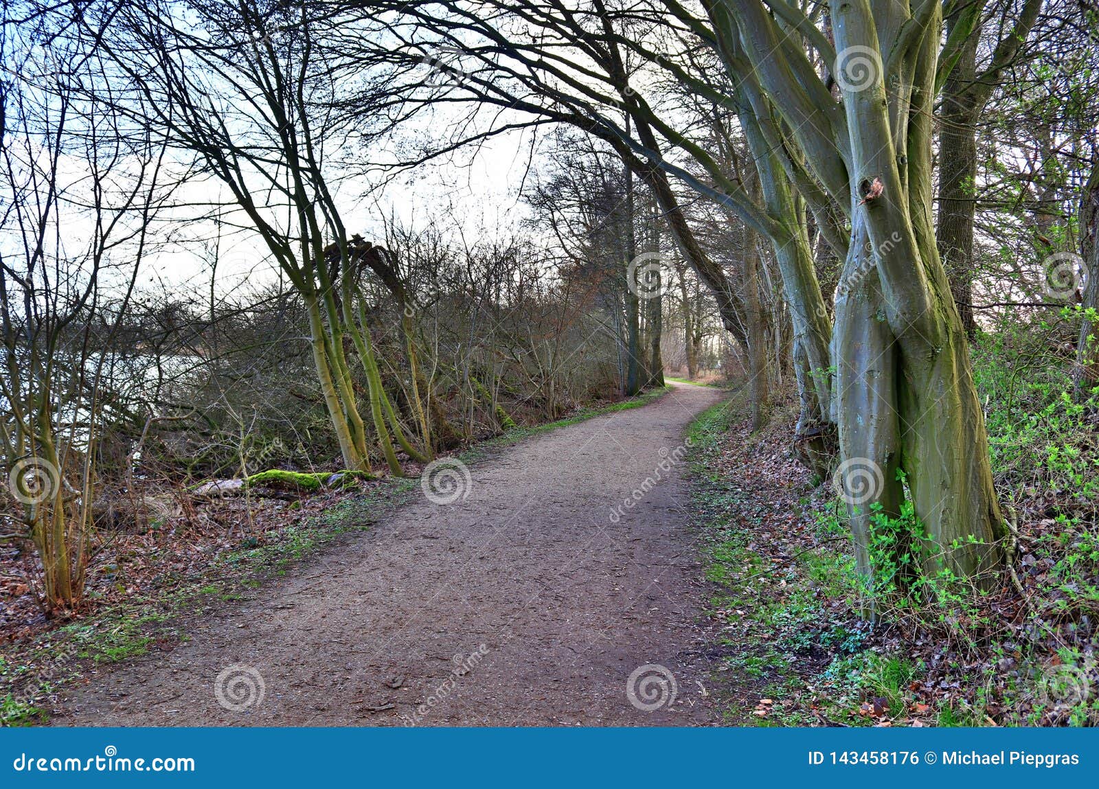 Nice View on Footpaths in a Northern German Landscape Stock Photo ...