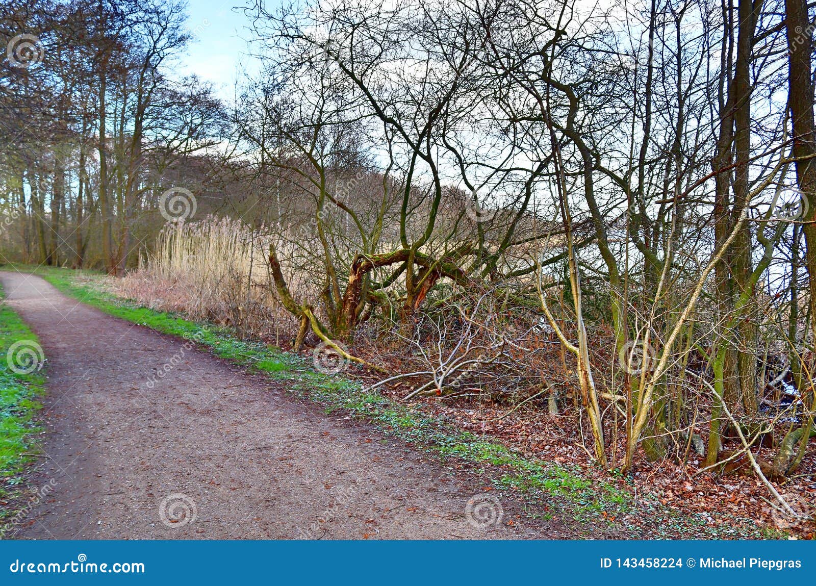 Nice View on Footpaths in a Northern German Landscape Stock Photo ...